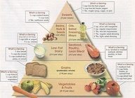 Macrobiotic Pyramid
