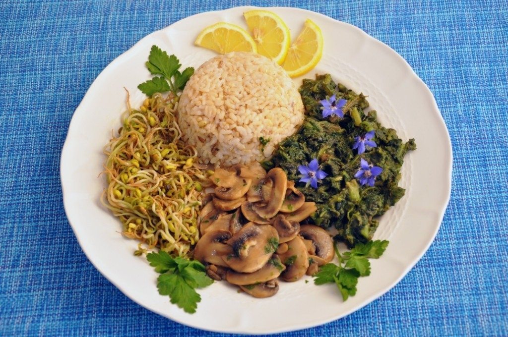 Macrobiotic Diet Food Pyramid - what you need to know